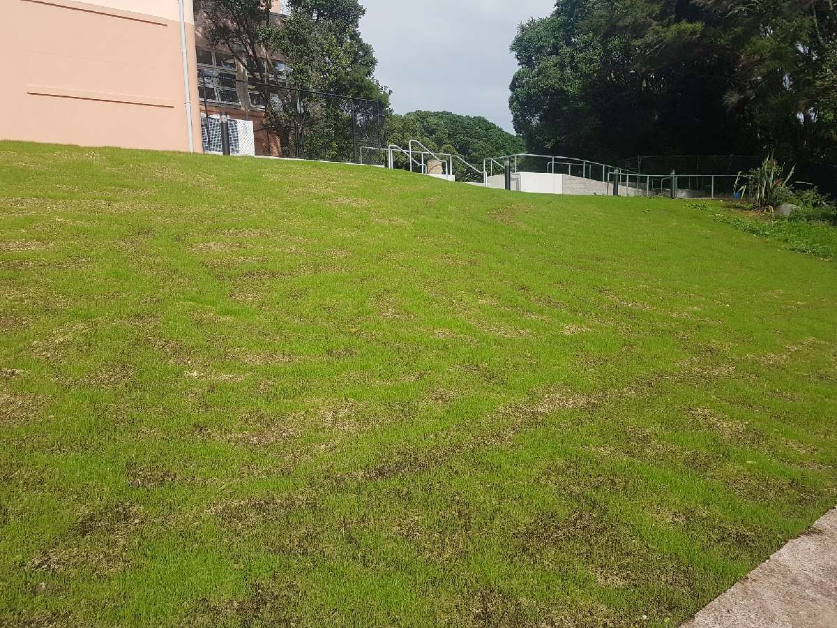 BSG Civil | Compacted Fill